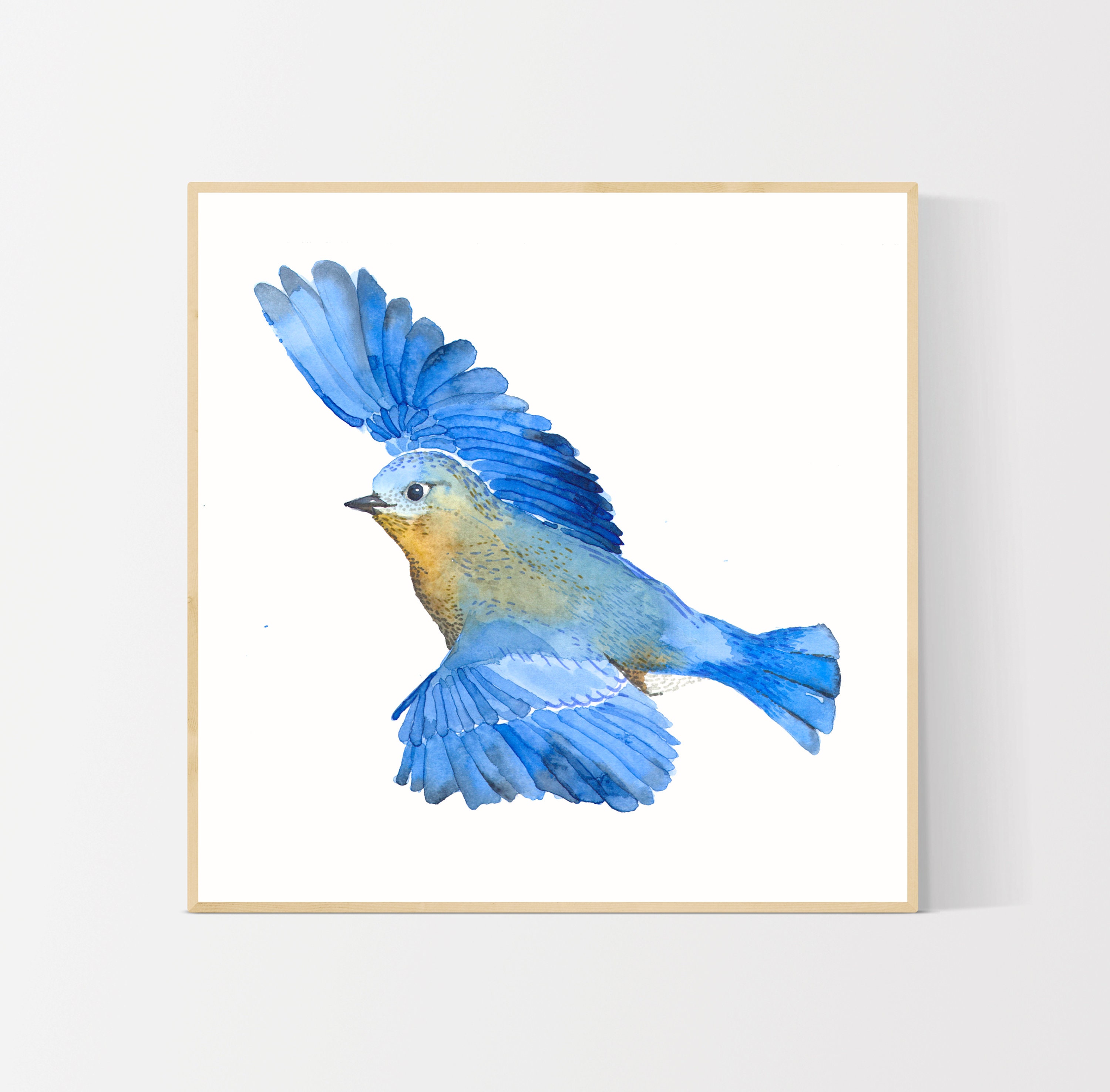 Bluebird In Flight