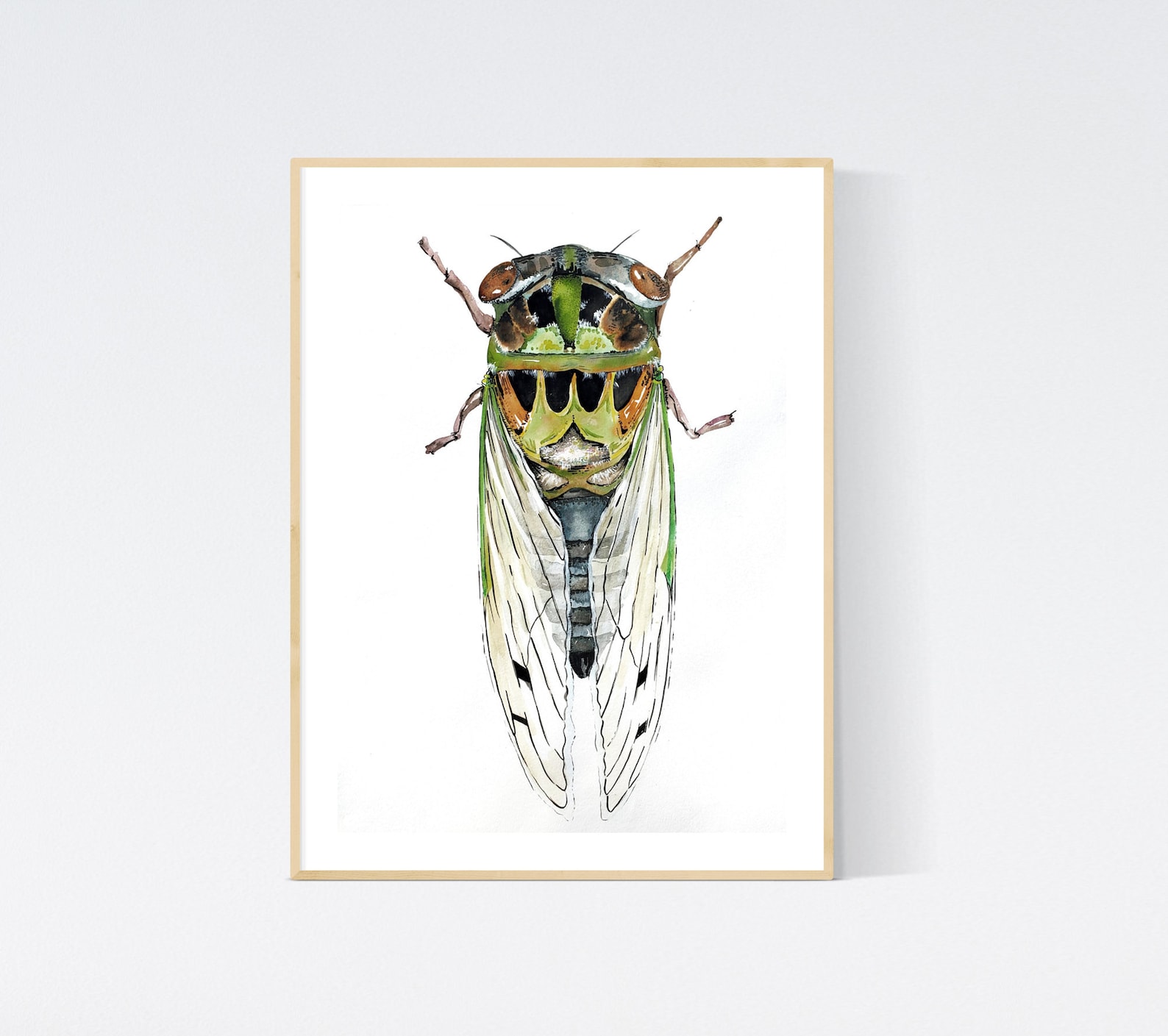 Watercolor Cicada Giclee Insect Art Print Unframed - Etsy