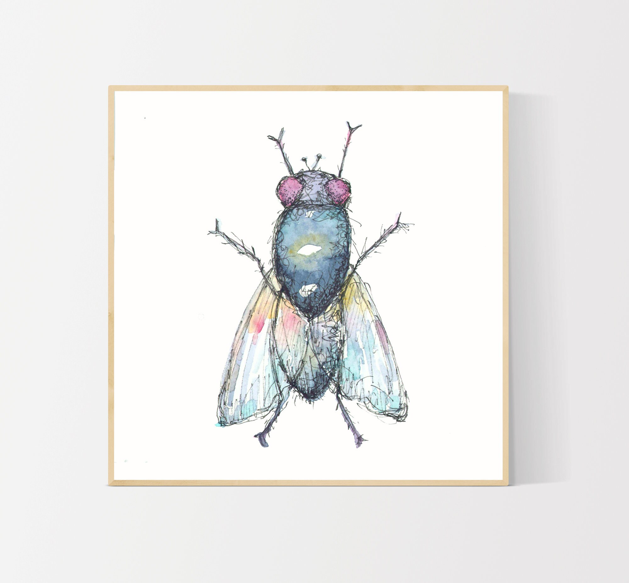 Common House Fly in Watercolor, Giclee Insect Art Print - Etsy