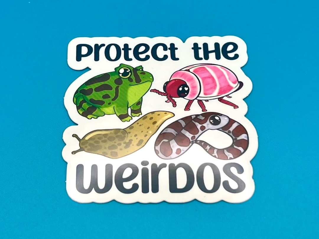 Protect the Weirdos Sticker | Animal Wildlife Stationery Kawaii Cute ...