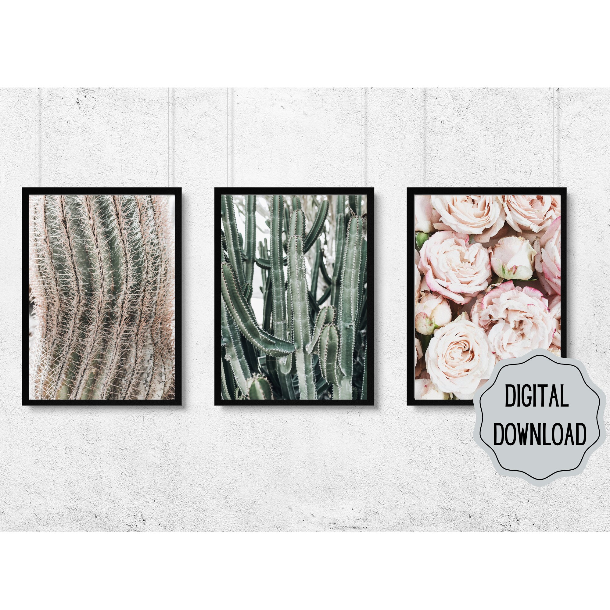Pink Desert Flowers, Set of 3 Desert Prints, Cactus Wall Art, Botanical ...
