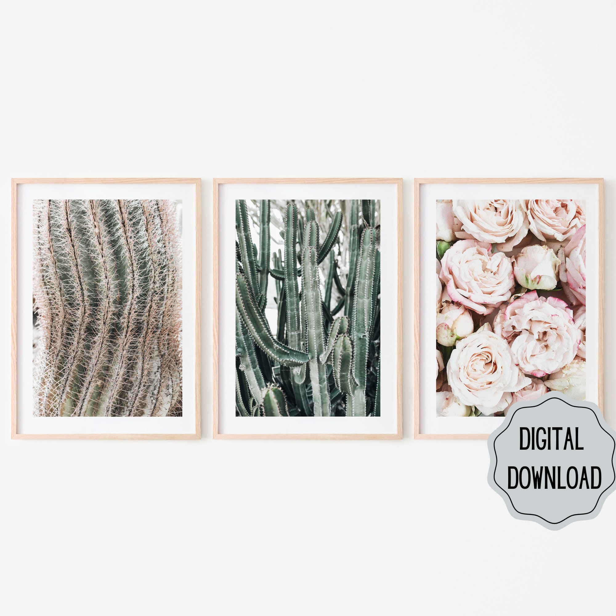 Pink Desert Flowers, Set of 3 Desert Prints, Cactus Wall Art, Botanical ...