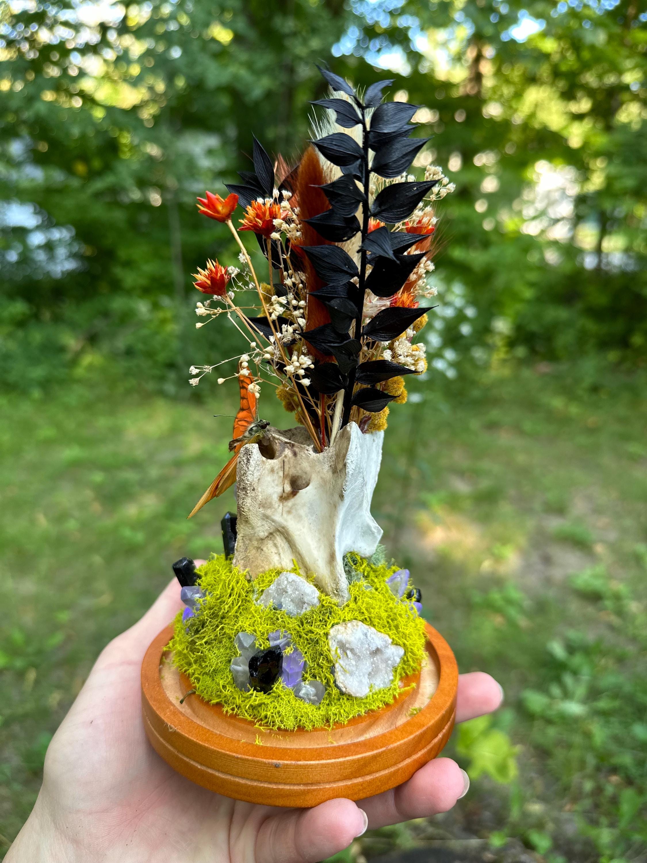 Floral Halloween Deer Vertebrae W/ Butterfly - Etsy