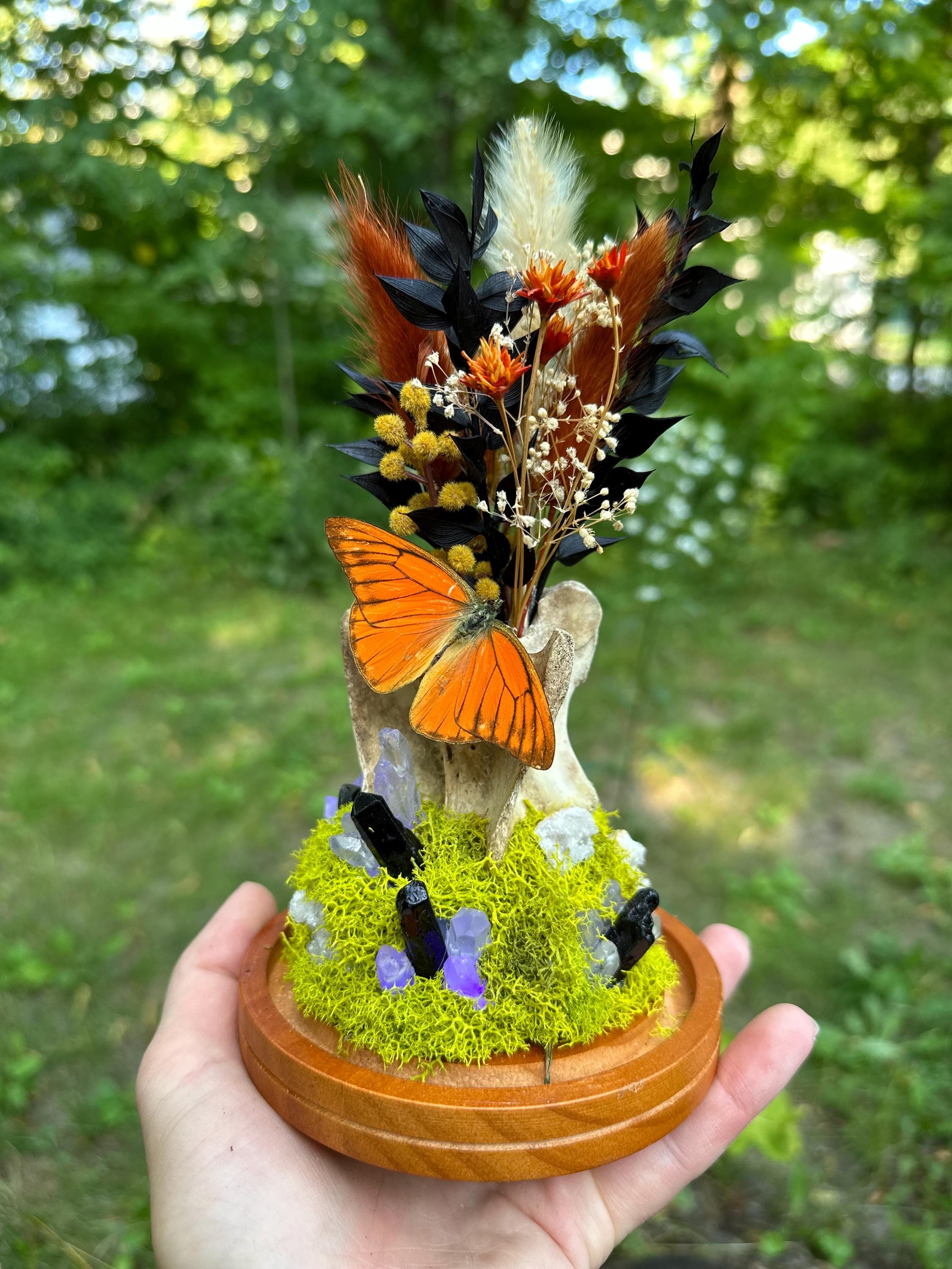 Floral Halloween Deer Vertebrae W/ Butterfly - Etsy