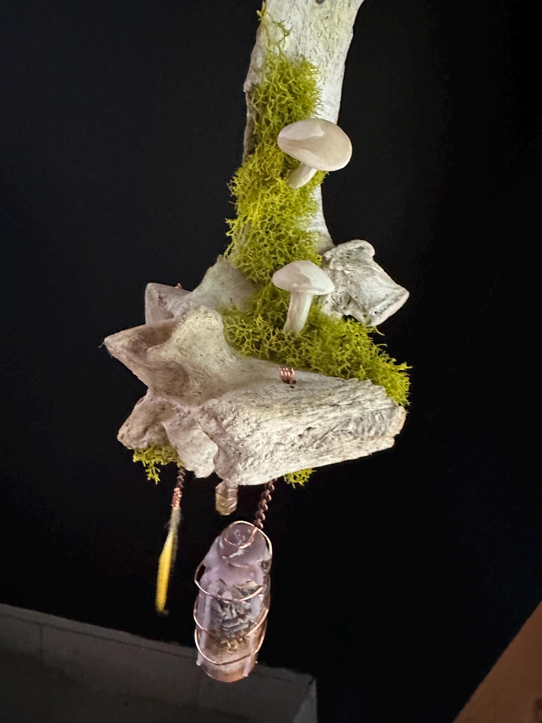 Cow Vertebrae Mobile - Etsy