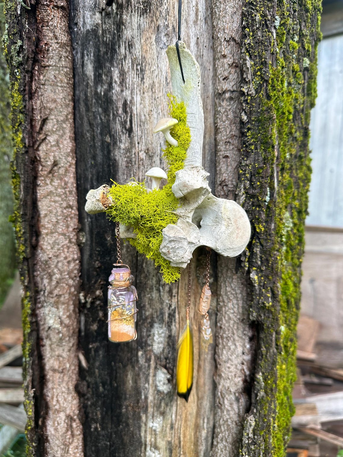 Cow Vertebrae Mobile - Etsy