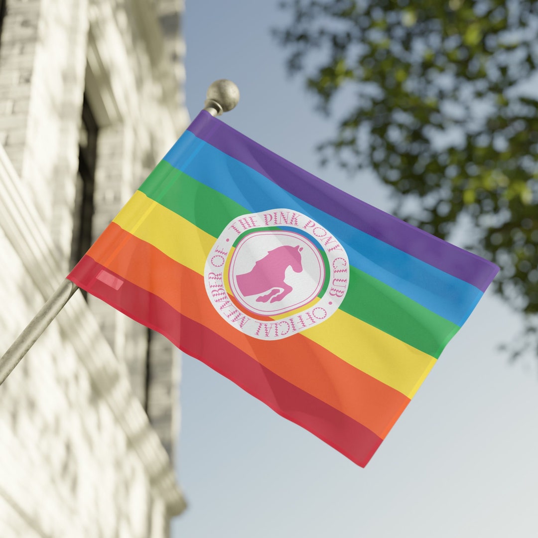 Pink Pony Club Flag, Chappell Roan Inspired, LGBTQ+ Rainbow Pride - Etsy