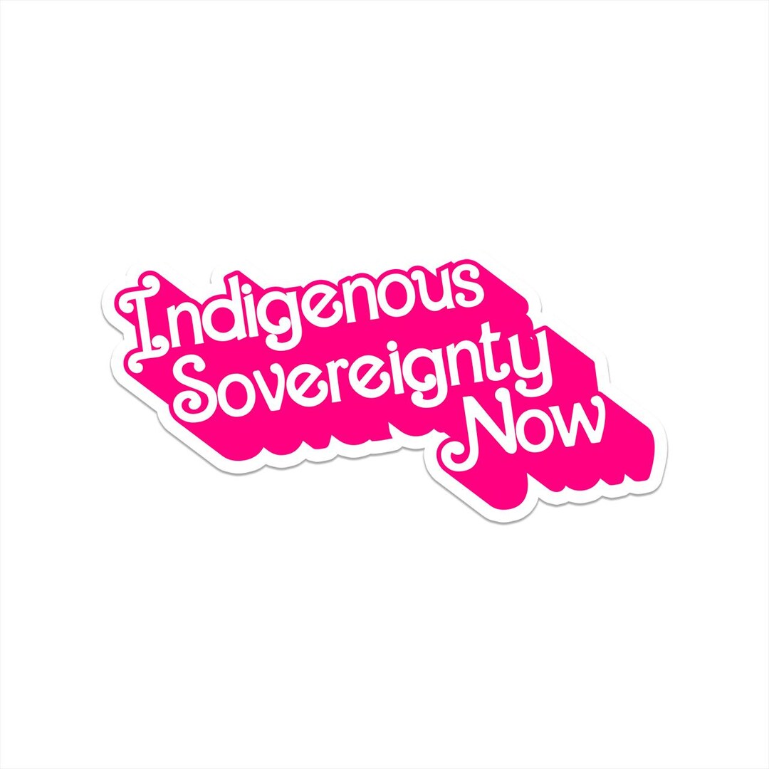 Indigenous Sovereignty Now Car Magnet, Feminist Bumper Sticker - Etsy