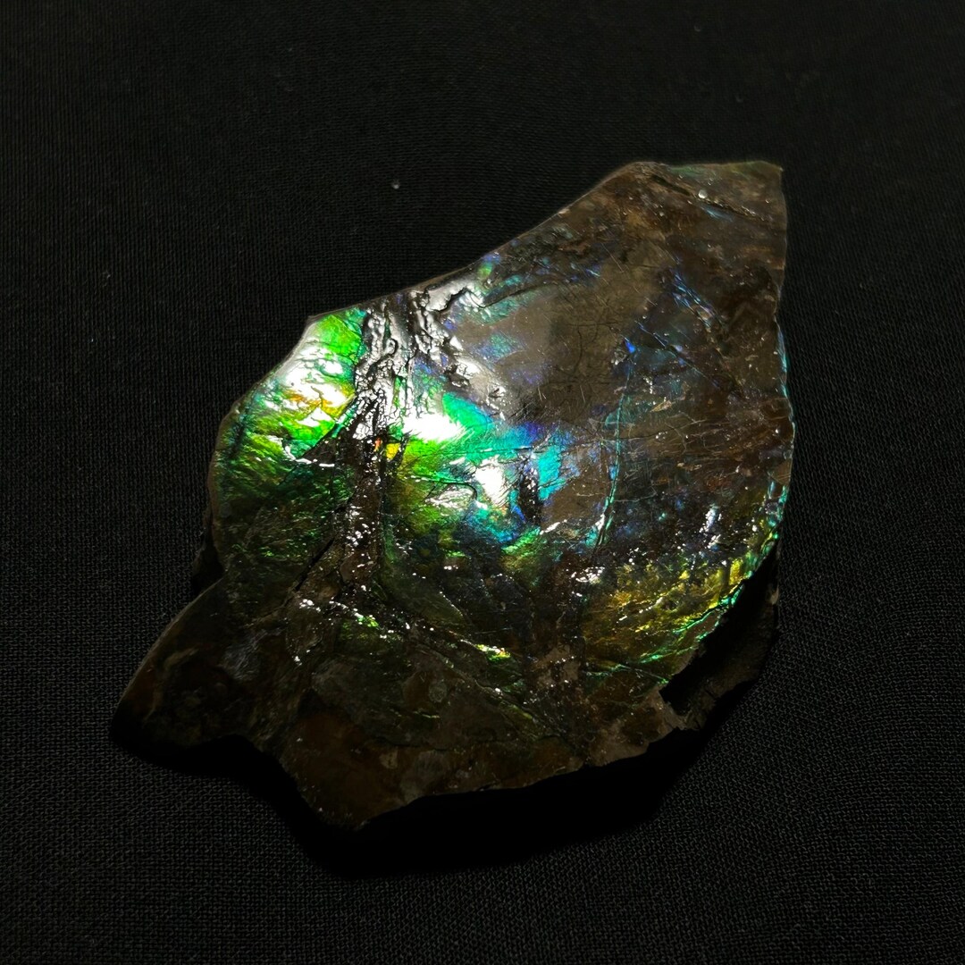 Natural Green & Blue Fire Ammolite Fossil From Canada — Large ...