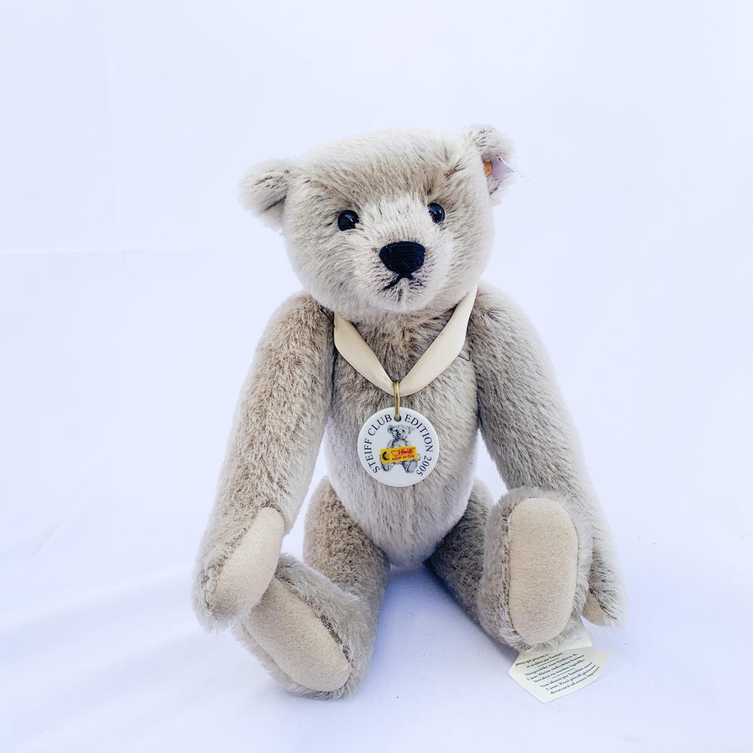 Richard Steiff Teddy Bear With Sketchbook, 2005 Steiff Club Bear - Etsy