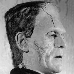 Frankenstein Smoking Drinking Tea Coffee Vintage Horror Movie Photo ...