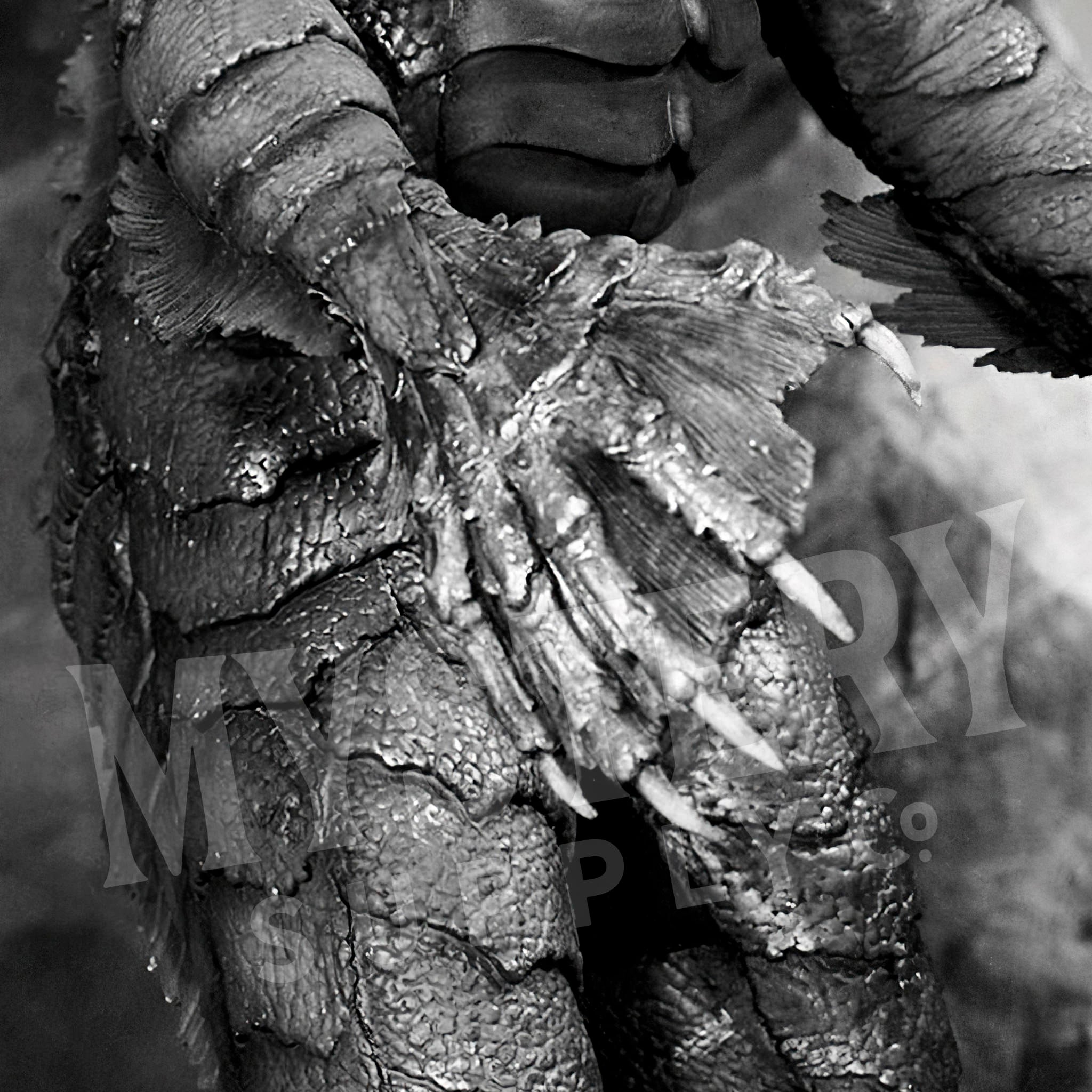 Creature From the Black Lagoon 1954 Vintage Horror Movie Gill Man Julie ...