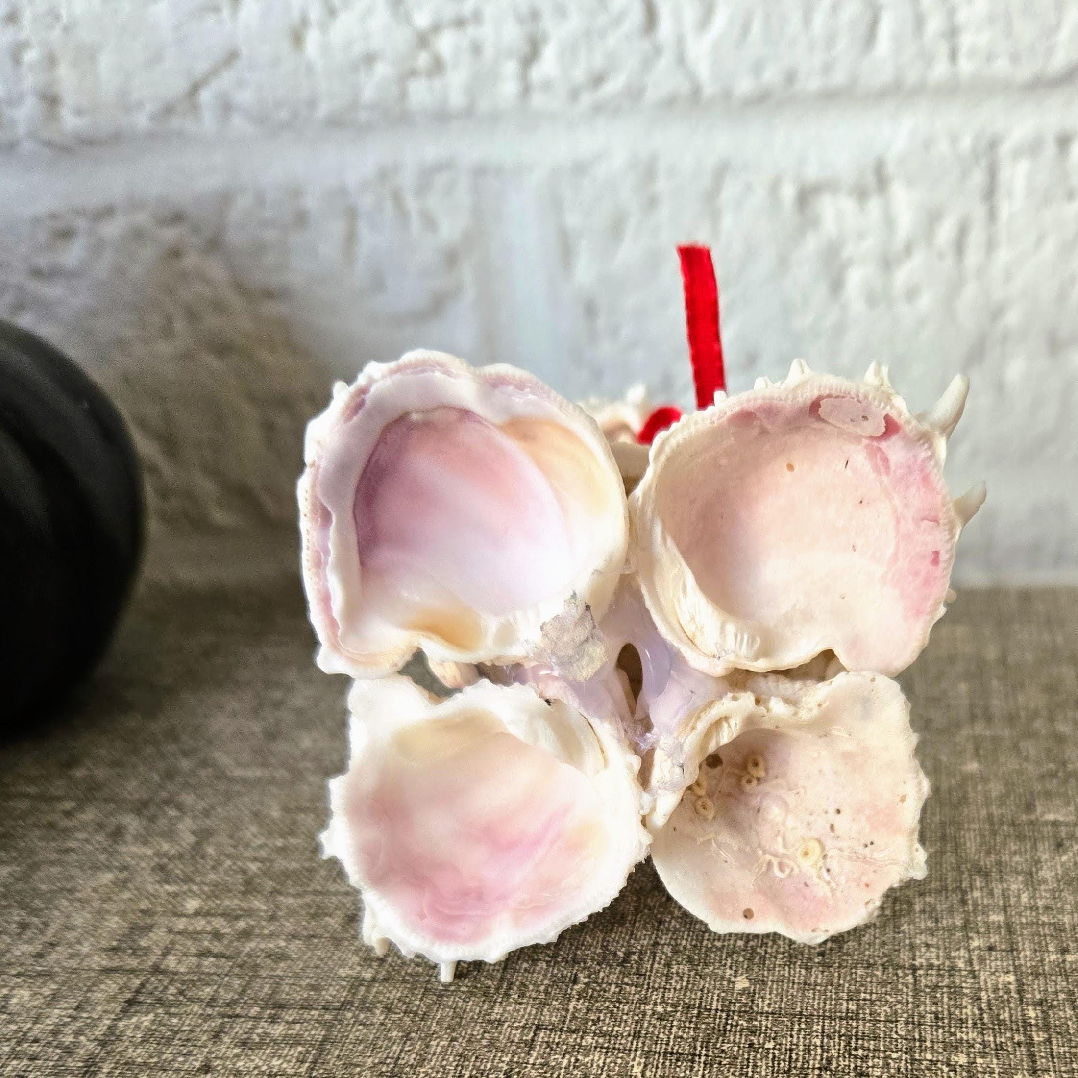 Vintage Seashell Dog Figurine | Natural Genuine Seashells | Puppy - Etsy