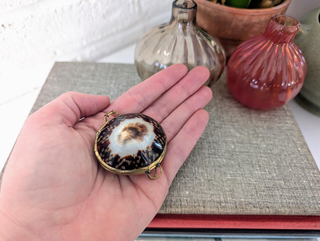 Vintage Limpet Shell Trinket Box | Pill Box | Jewelry Box | Limpet Sea ...