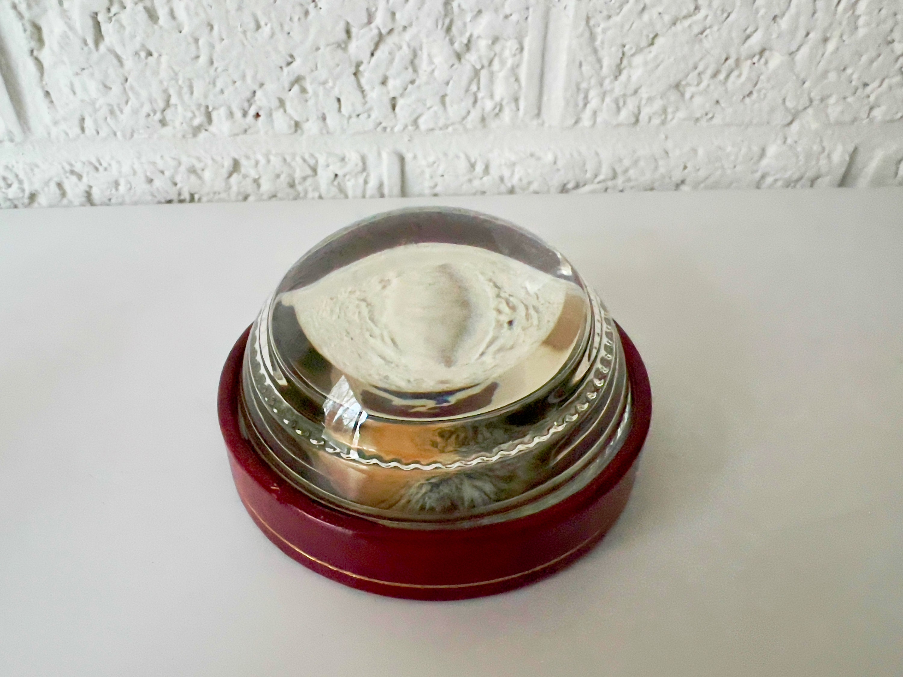 Vintage Glass Paperweight With Fox Image and Leather Edge - Etsy