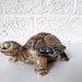 Vintage Wade Turtle Trinket Box | Wade of England Porcelain Tortoise ...