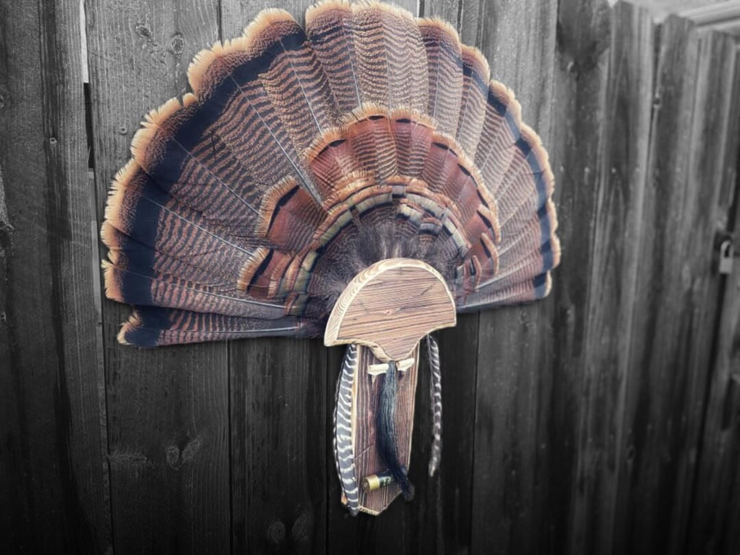Rustic Turkey Fan Plaque - Etsy