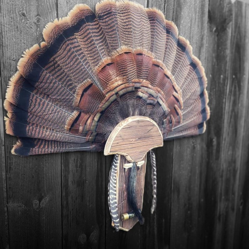 Turkey Fan Mount - Etsy