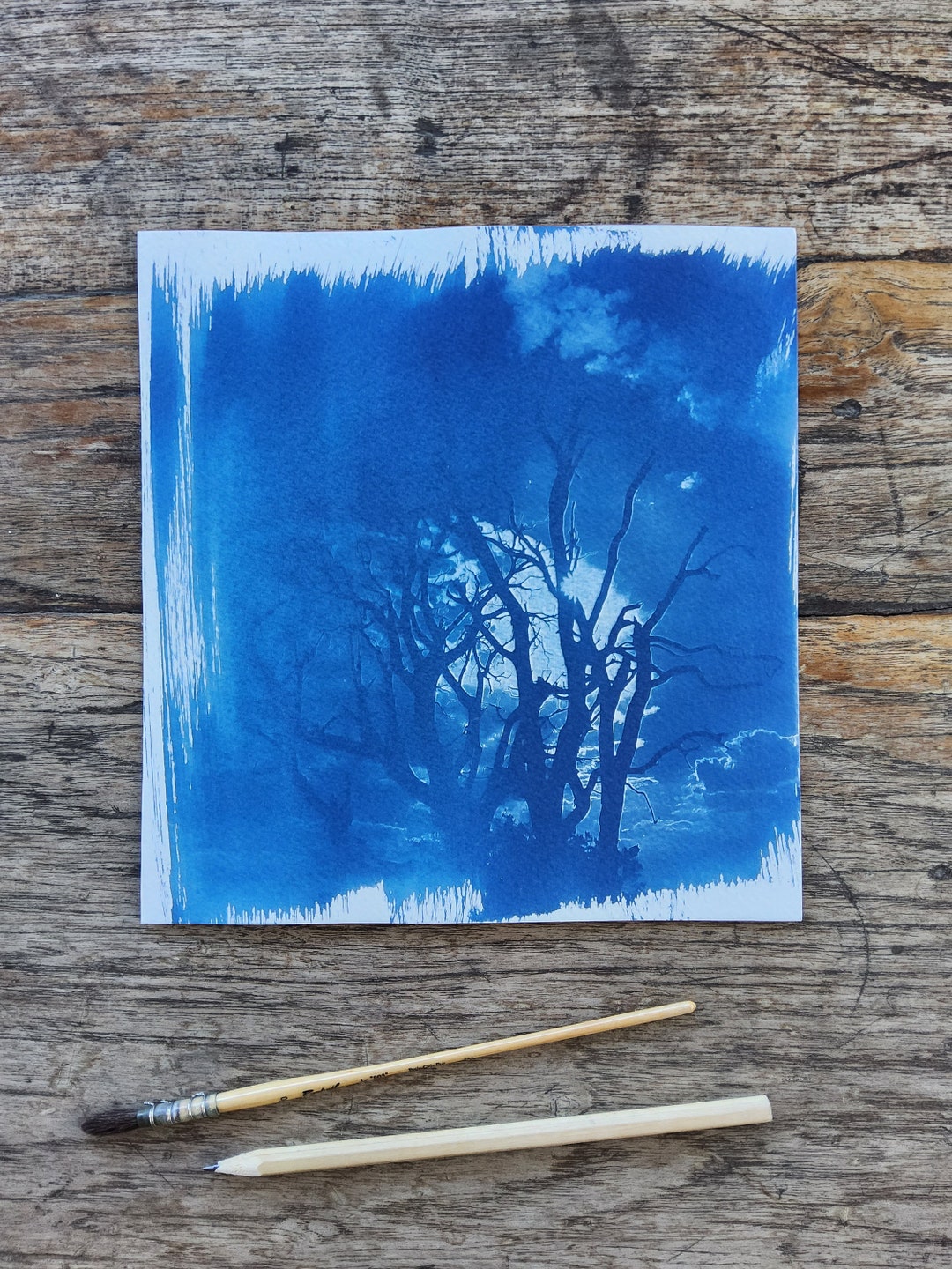 Painting - Original Cyanotype - BLUE TREE - Etsy