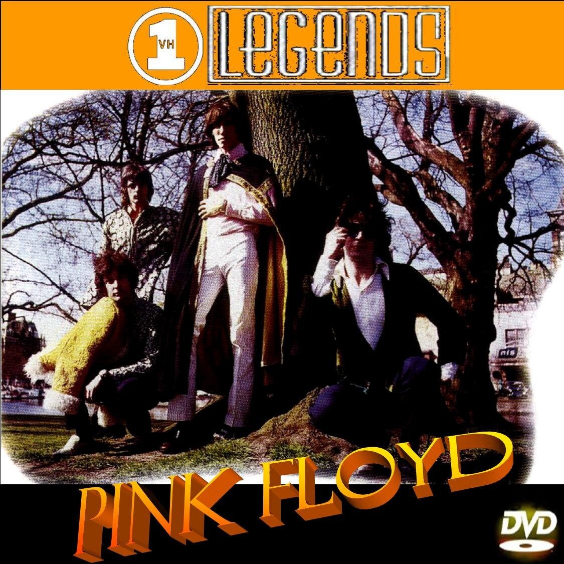 Pink Floyd VH1 Legends dvd
