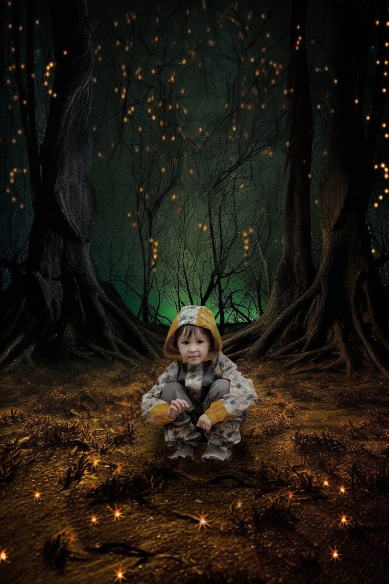 10 Enchanted Forrest Digital Backgrounds, Composite, Studio Backdrop ...