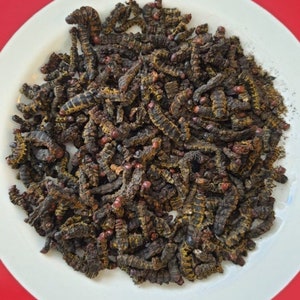 Dry Congo MBINZO/ Chenilles comestibles séchées - Etsy France