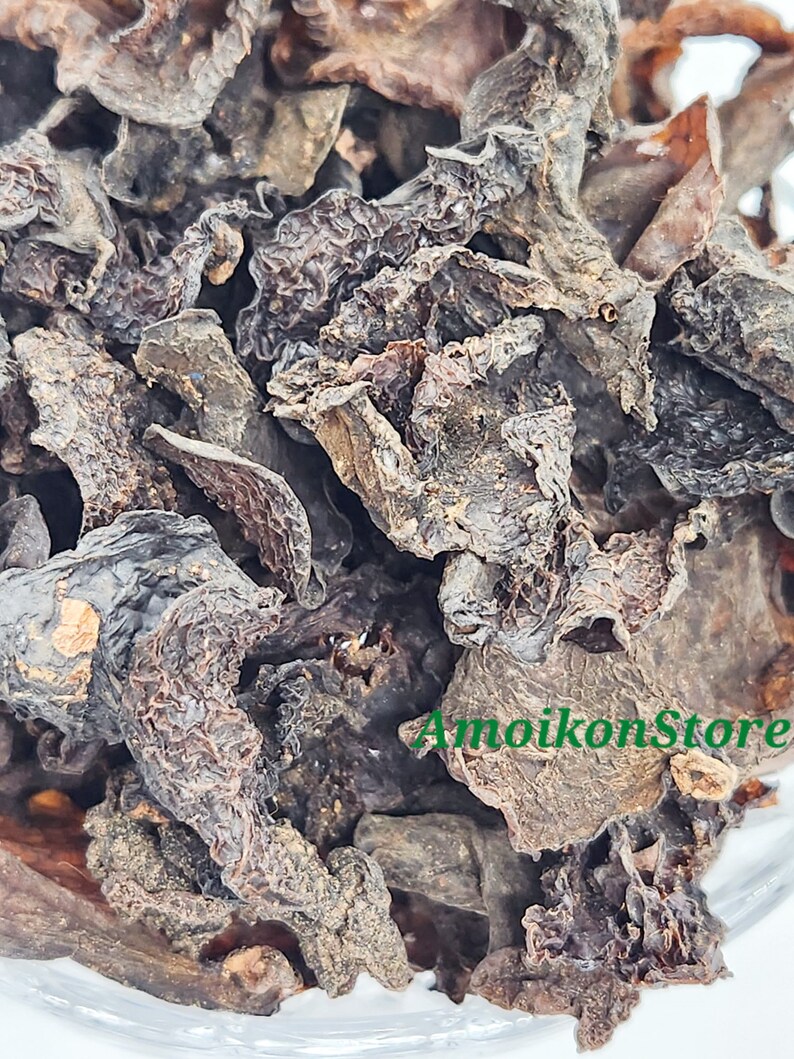 Congo Mayebo/ Matoyi/ Dried Edible Organic Mushrooms/ - Etsy