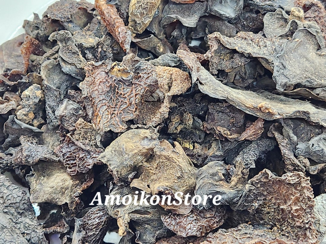 Congo Mayebo/ Matoyi/ Dried Edible Organic Mushrooms/ Champigon Seche ...