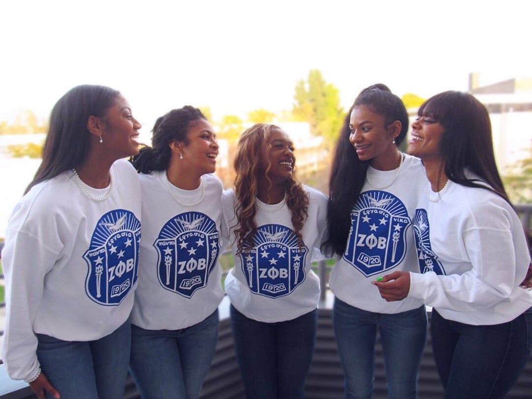 Zeta Shield Sweatshirt - Etsy