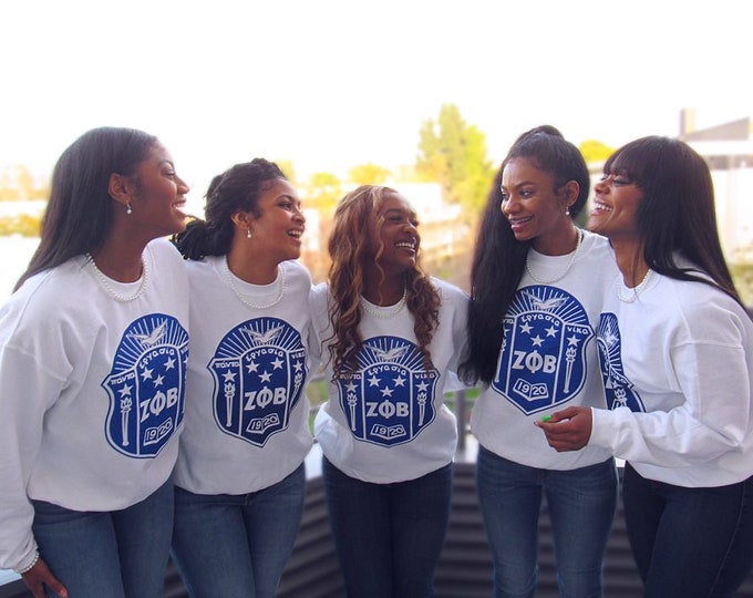 Zeta Shield Sweatshirt - Etsy