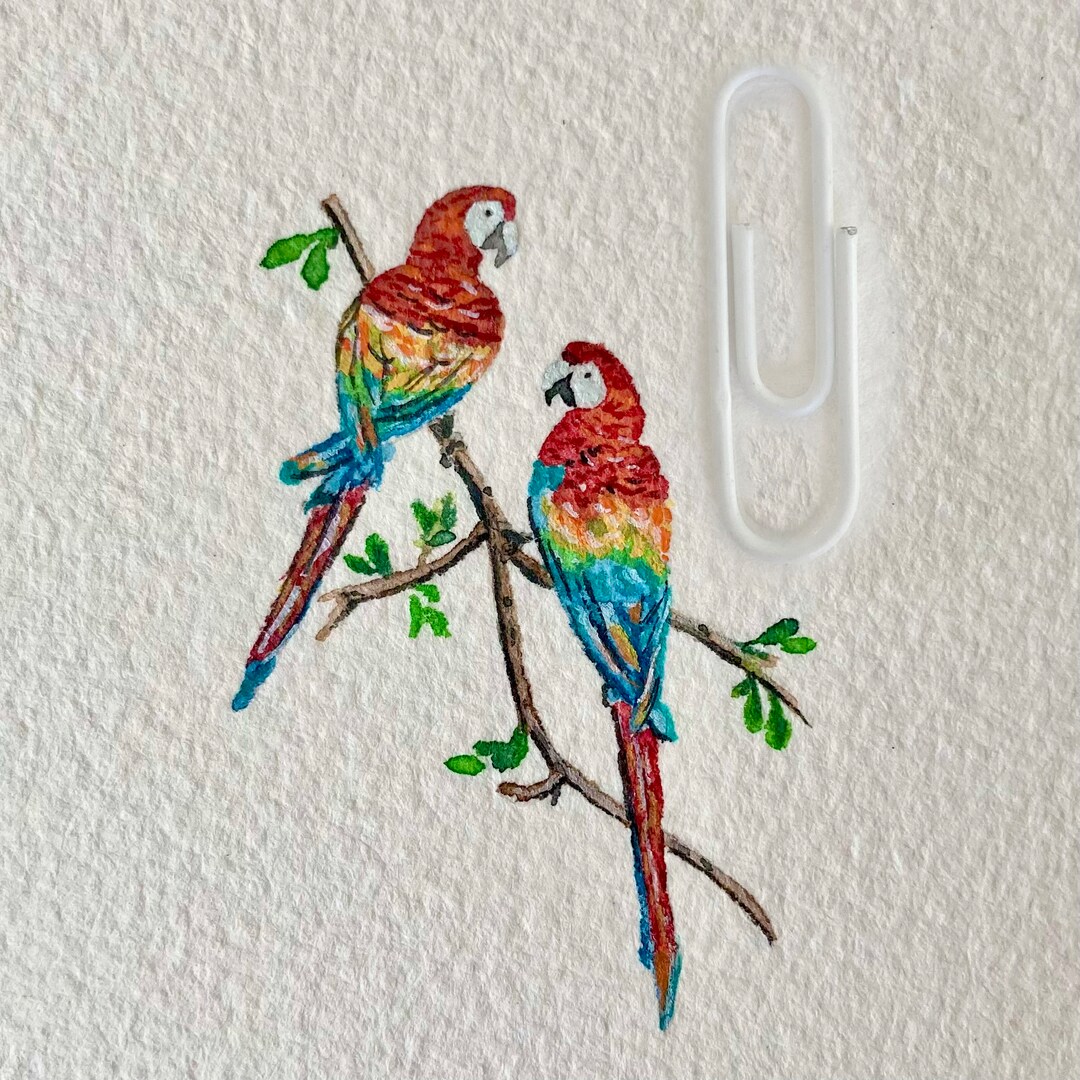 Mini Watercolor Parrots Parakeet Original Small Tiny - Etsy