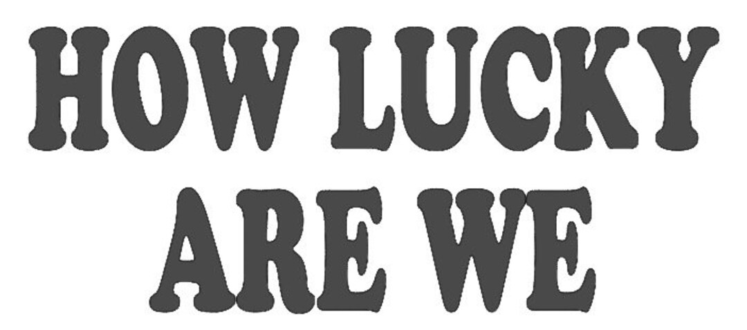How Lucky Are We Vinyl Decal Sticker for Cars, Walls, Glass, Boards ...