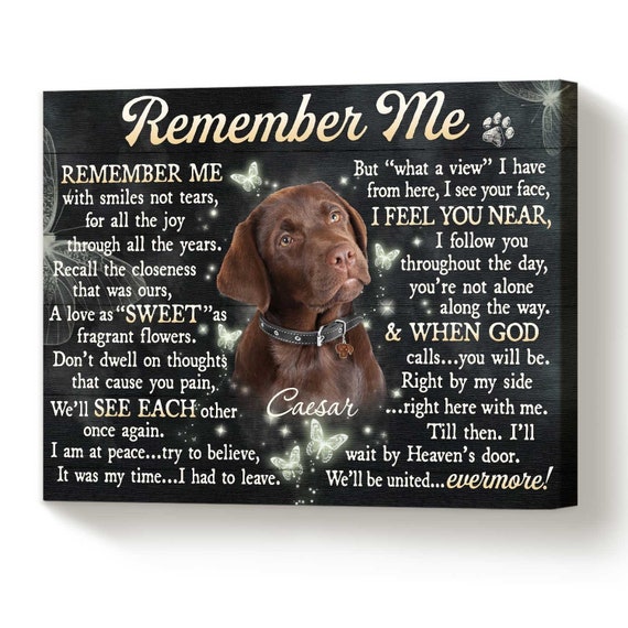 Will My Dog Remember Me After 1 Year