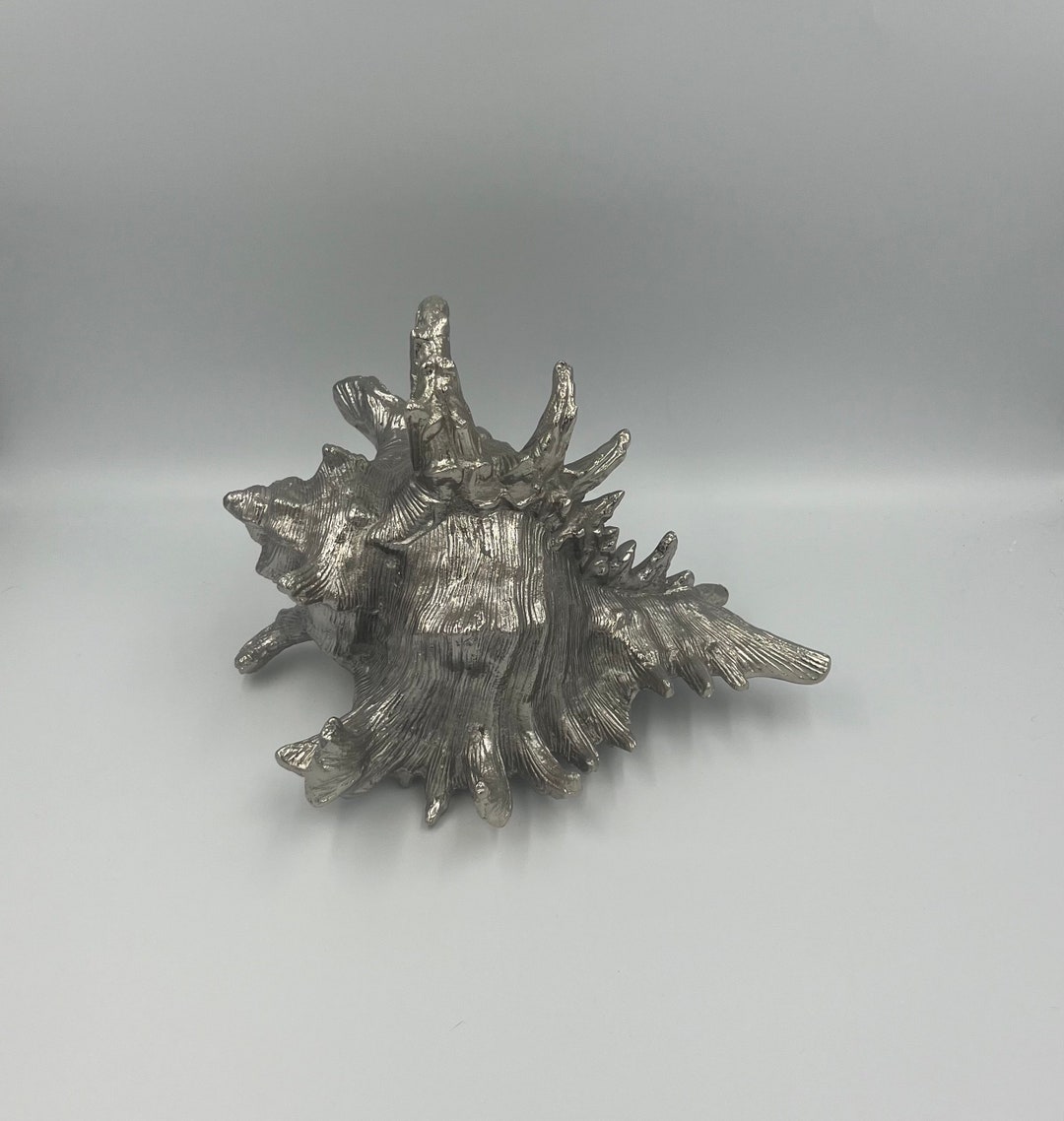 Vintage Pewter Murex Ramosus Conch Shell, Sea Shell for Coastal ...