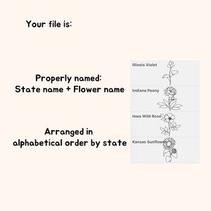 56 State Flower Procreate Stamps: 1 for Each State, Territory and DC ...