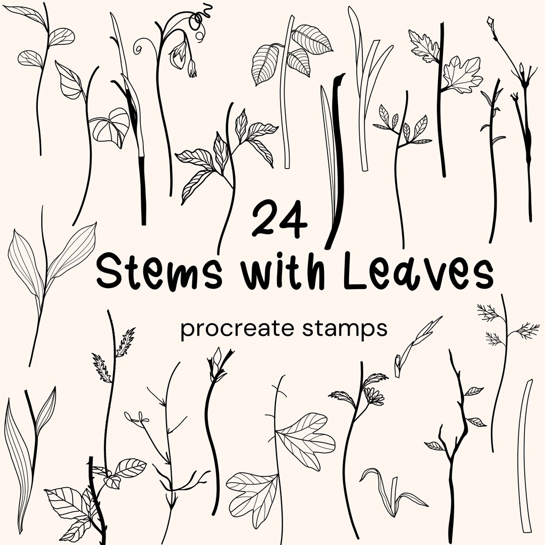 24 Sets of Stems and Leaves Procreate Stamps: 24 Hand Drawn Birth ...