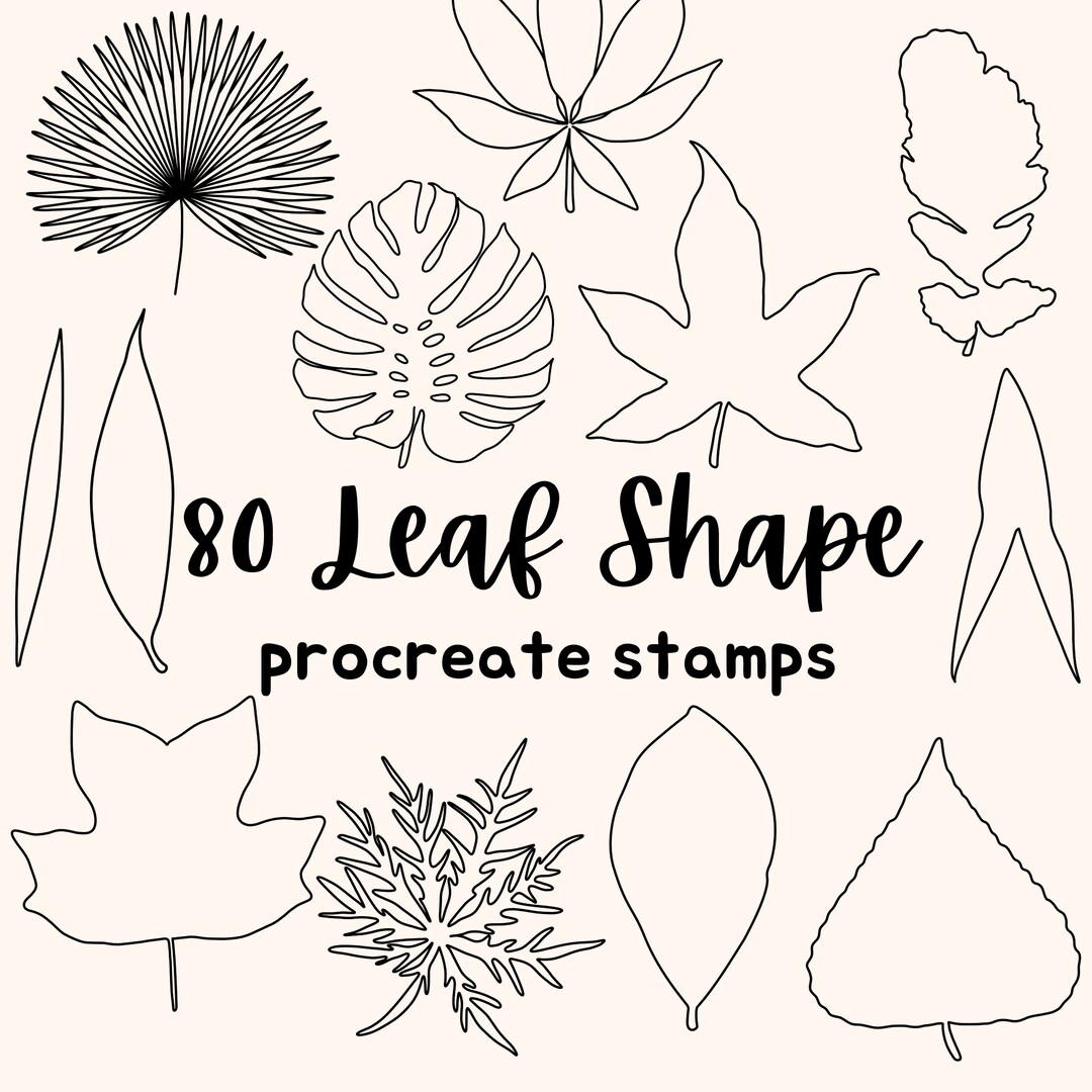 80 Botanist's Leaf Shape Procreate Stamps: Hand Drawn Line Art and ...