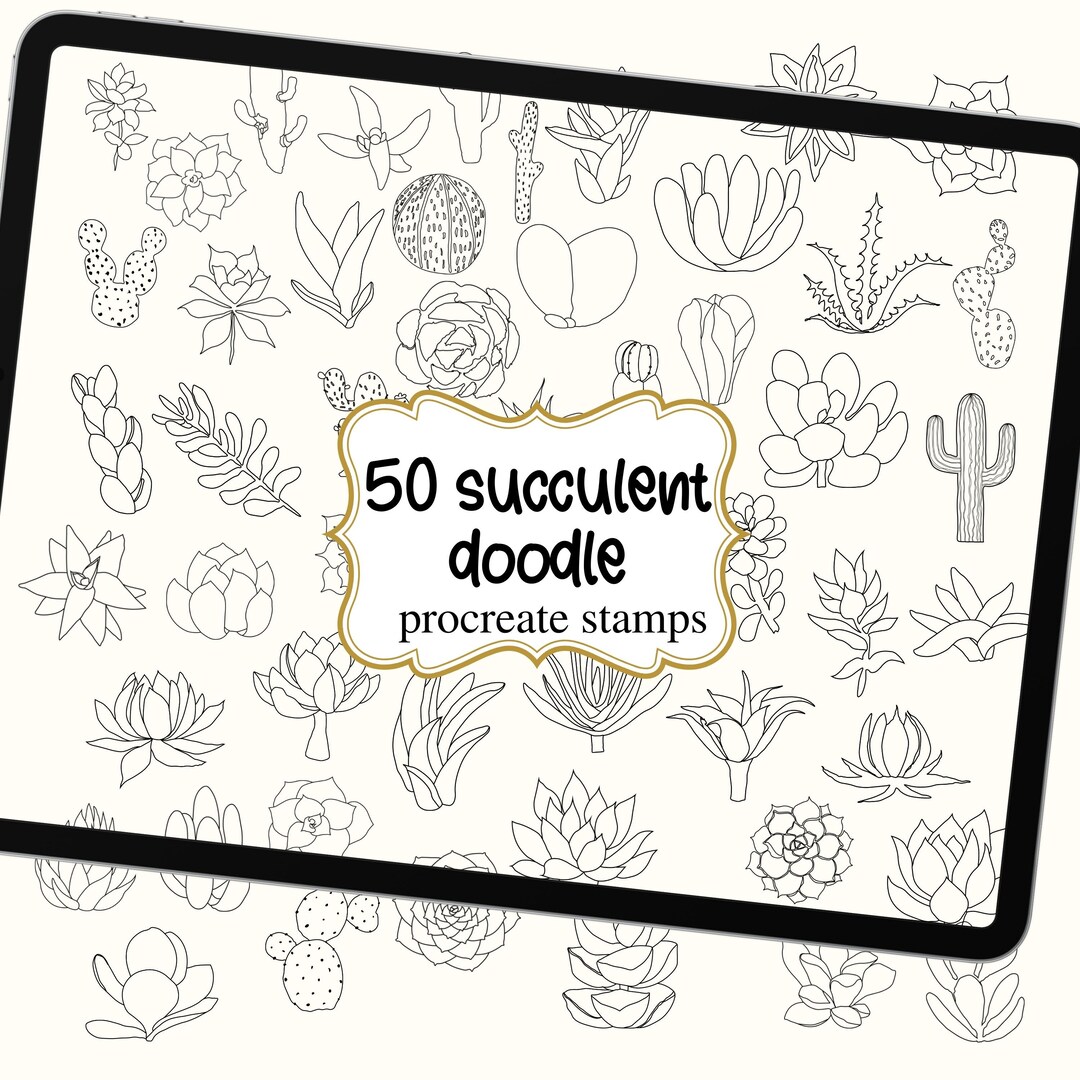 50 Succulent Doodle Procreate Stamps. Cactus Brushes Procreate Cacti ...