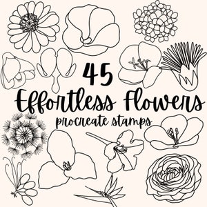 351 Effortless Floral Line Art Procreate Bundle: Procreate Stamps of ...