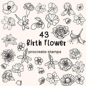 351 Effortless Floral Line Art Procreate Bundle: Procreate Stamps of ...