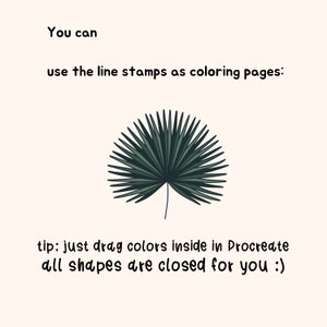 80 Botanist's Leaf Shape Procreate Stamps: Hand Drawn Line Art and ...