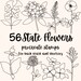 56 State Flower Procreate Stamps: 1 for Each State, Territory and DC ...