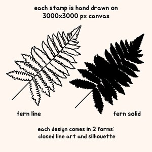 40 Botanist's Leaf Arrangement Procreate Stamps: Hand Drawn ...