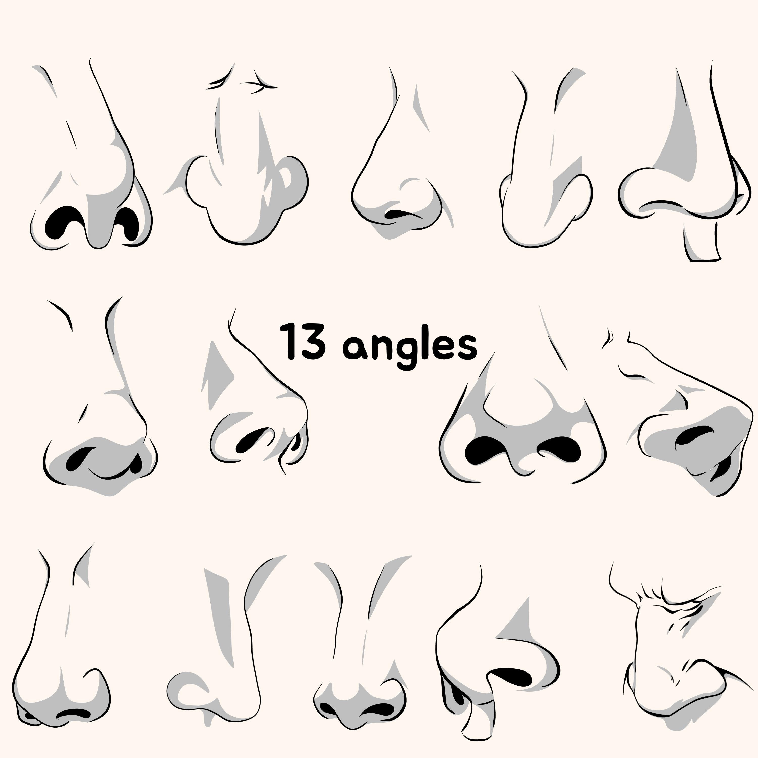 Different Types Of Noses Drawing