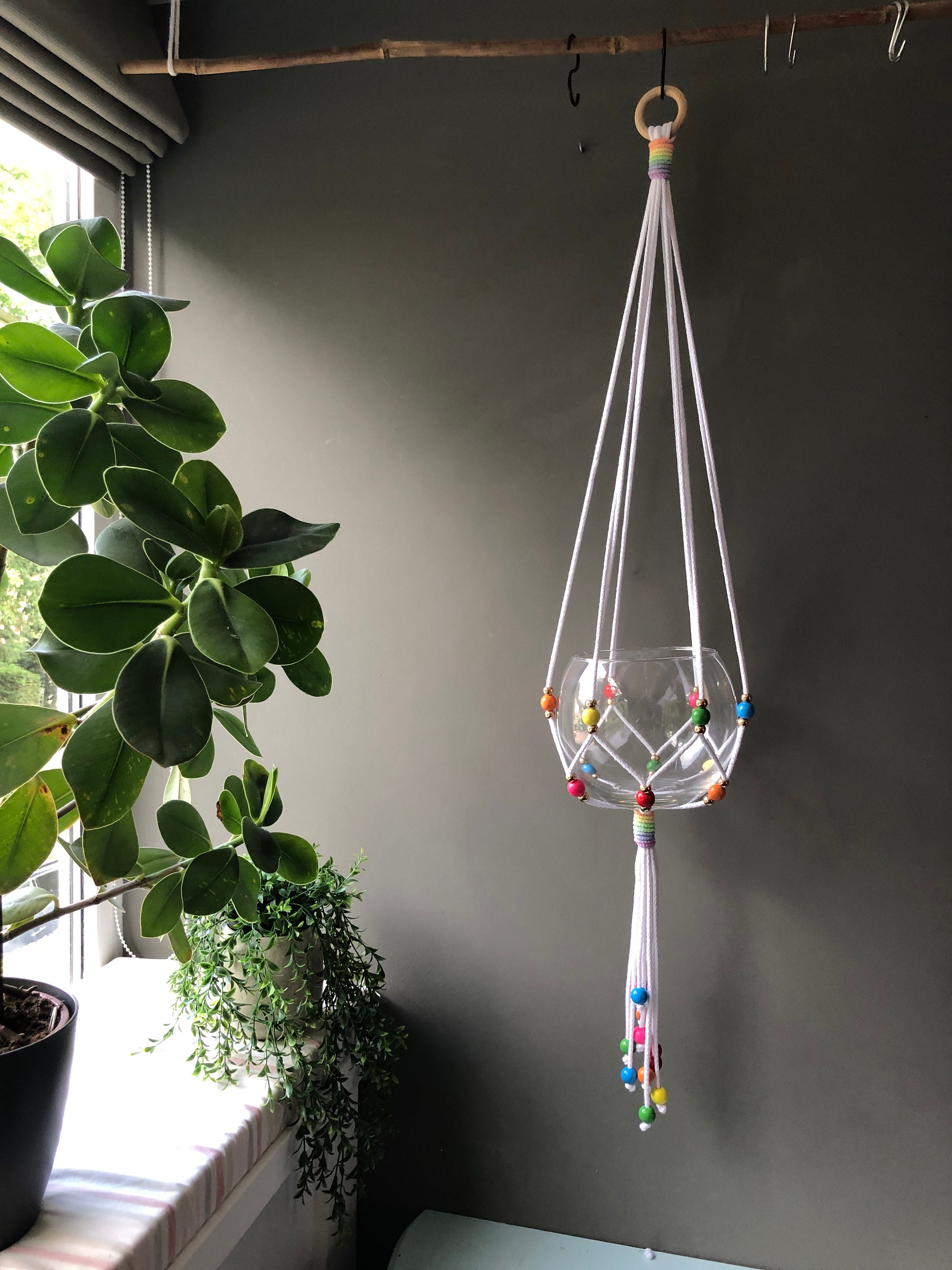 DIY Kit Macrame Plant Hanger Diy Kit Plant Hanger Craft Kit Diy Macrame ...