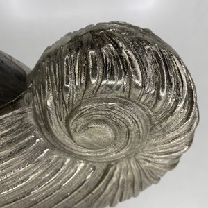 Nautilus Shell Planter Cachepot With Shell Feet Details Sea Shell Ice ...