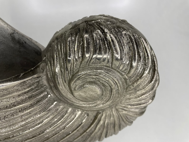 Nautilus Shell Planter Cachepot With Shell Feet Details Sea - Etsy