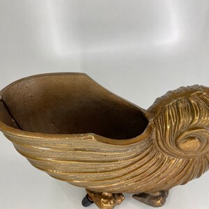 Nautilus Shell Planter Cachepot With Shell Feet Details Sea Shell Ice ...