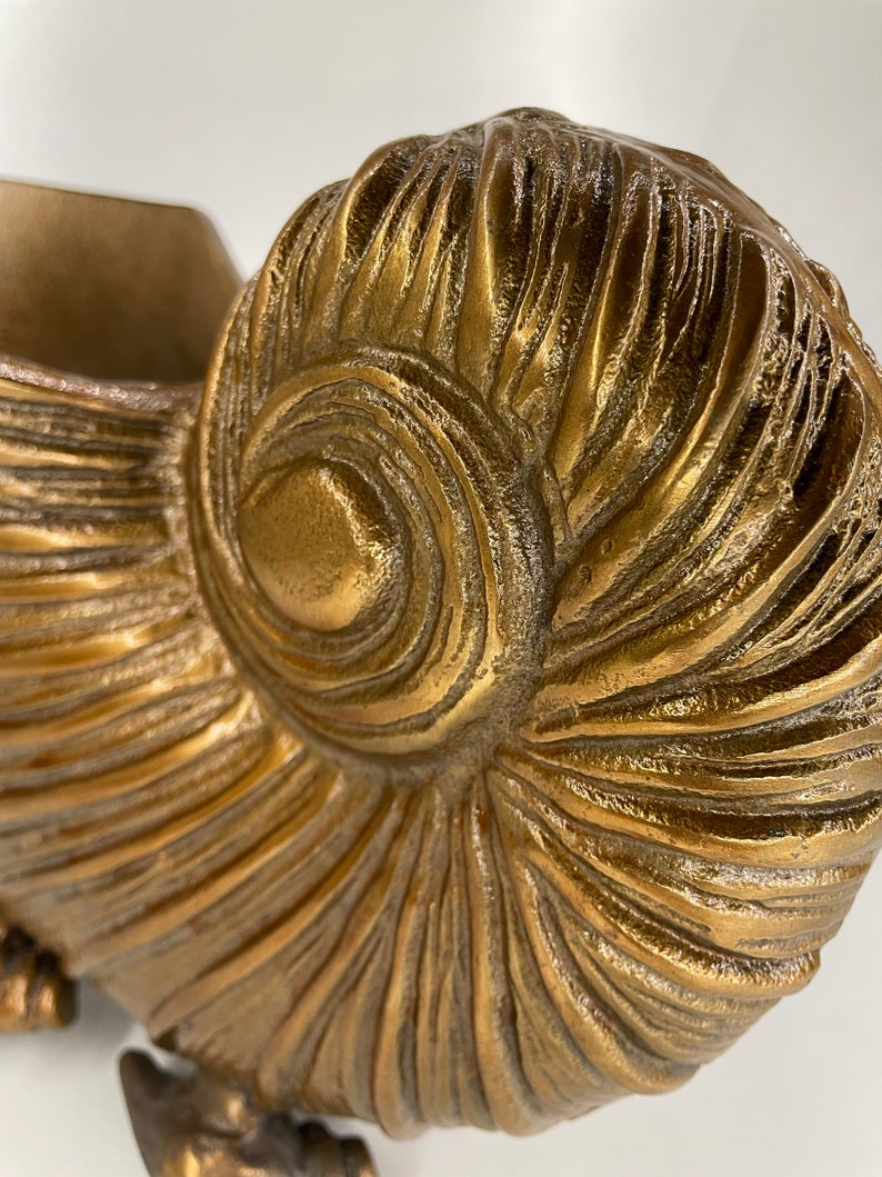 Nautilus Shell Planter Cachepot With Shell Feet Details Sea - Etsy