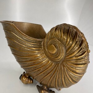 Nautilus Shell Planter Cachepot With Shell Feet Details Sea Shell Ice ...